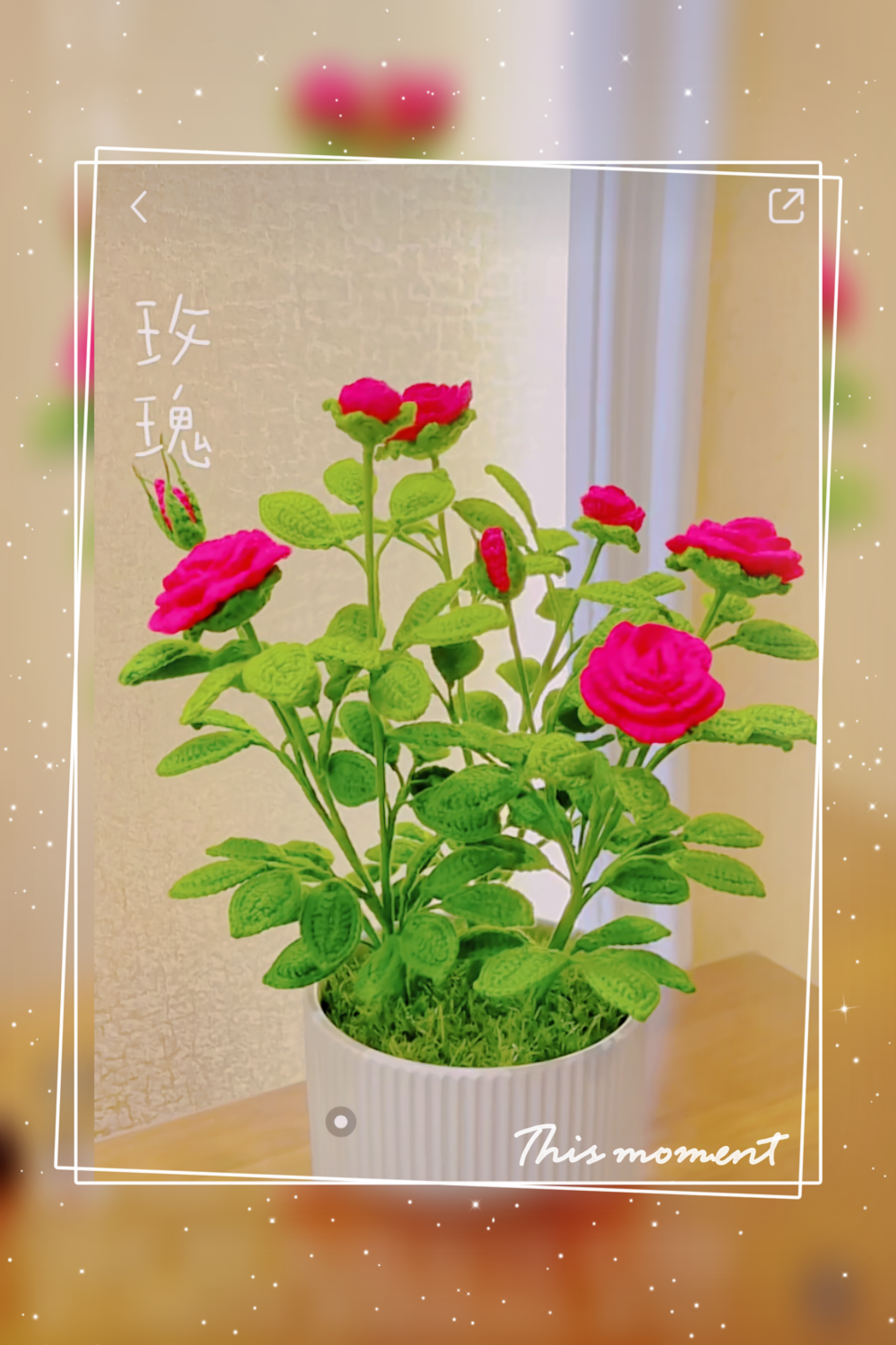 盆景 – Mrs Liu Handmade